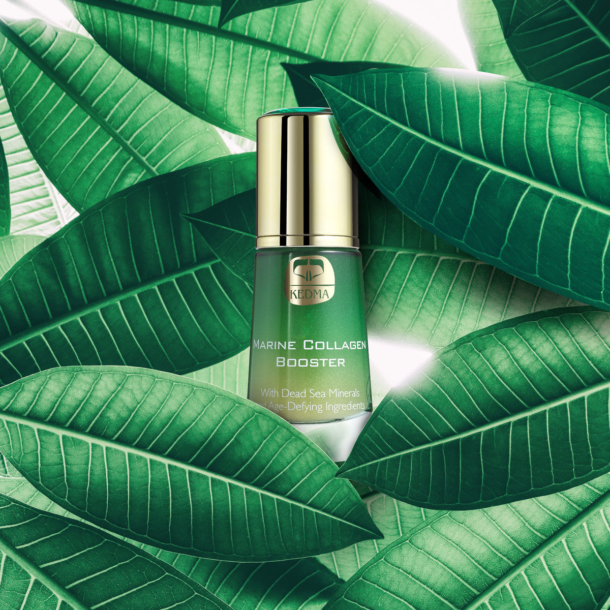 Forever Young by KEDMA Cosmetics